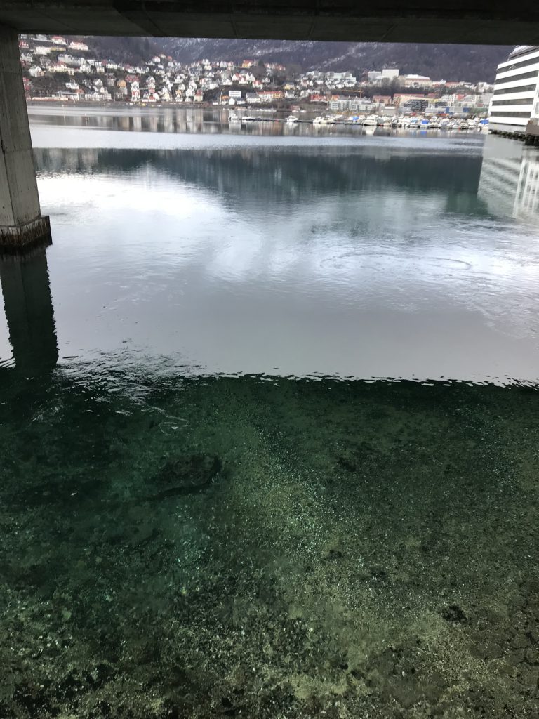 Fascinating how the same body of water can show up in so many different ...