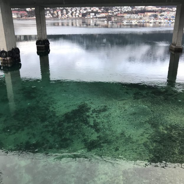 Fascinating how the same body of water can show up in so many different ...