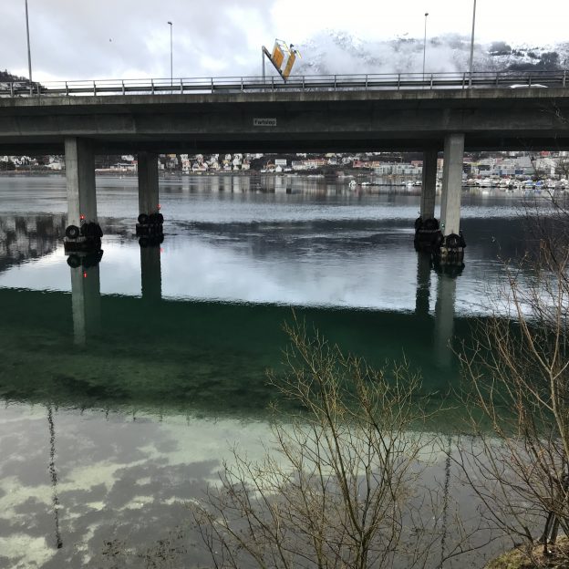 Fascinating how the same body of water can show up in so many different ...