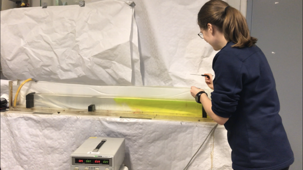 Tank demonstration of the circulation in a fjord - Adventures in ...