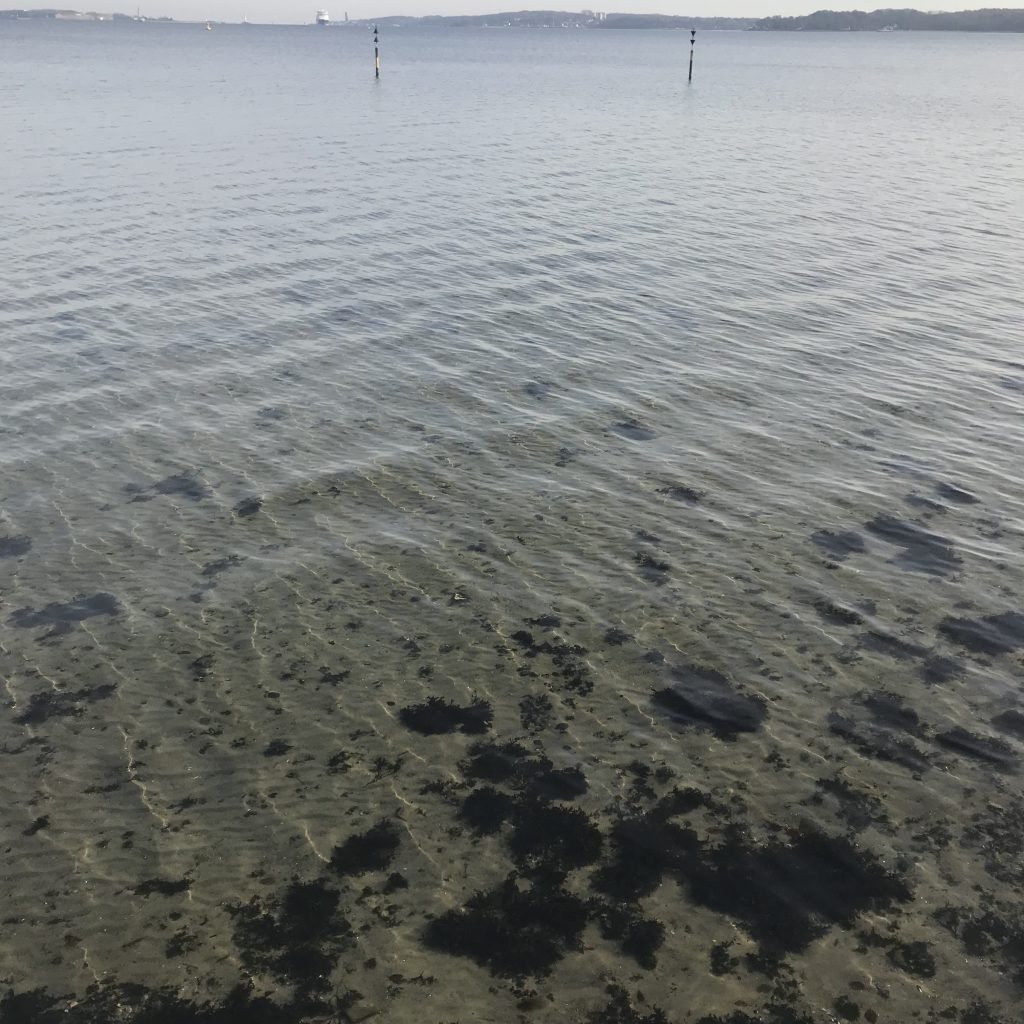 Tag: refraction of light - Adventures in Oceanography and Teaching