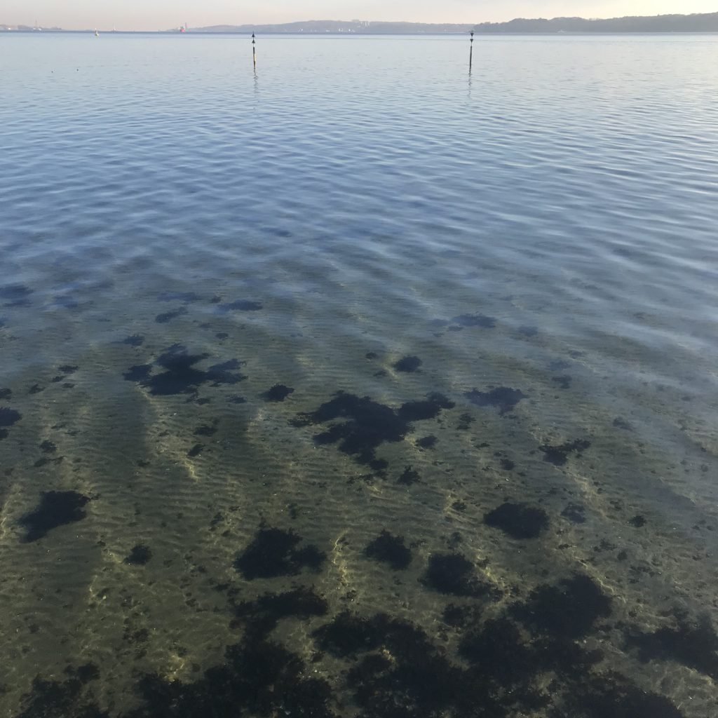 refraction of light Archives - Adventures in Oceanography and Teaching