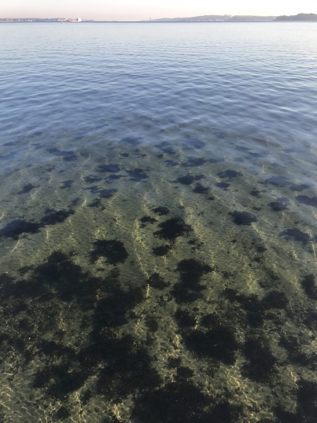 Wave watching by proxy - looking at how waves focus light on the sea ...