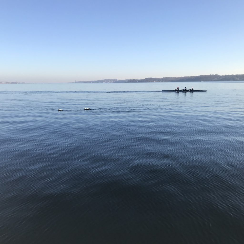 row boat Archives - Adventures in Oceanography and Teaching