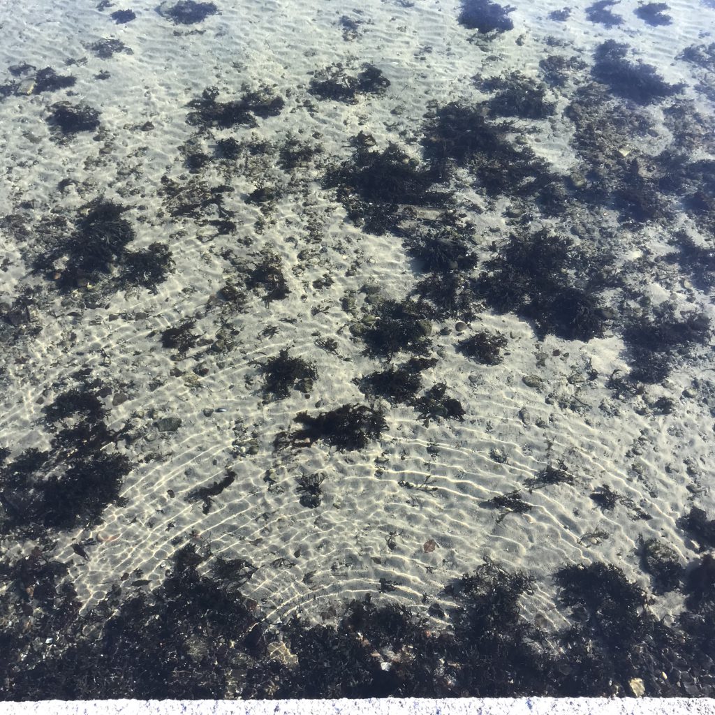 Wave watching by proxy - looking at how waves focus light on the sea ...