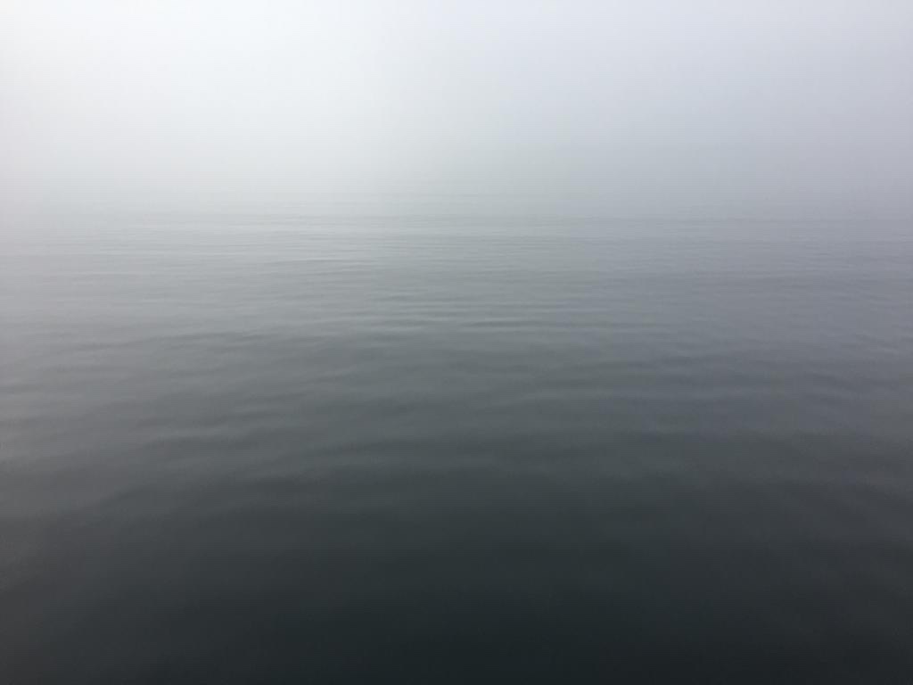 capillary effect Archives - Adventures in Oceanography and Teaching