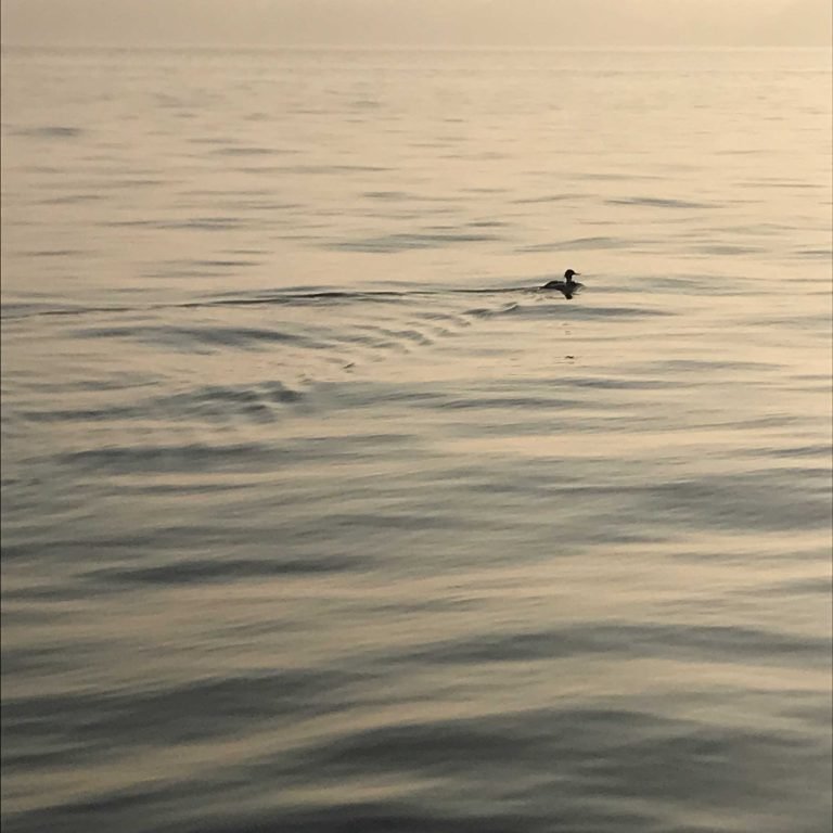 Towards the raising sun, leaving behind a perfect wake - Adventures in ...