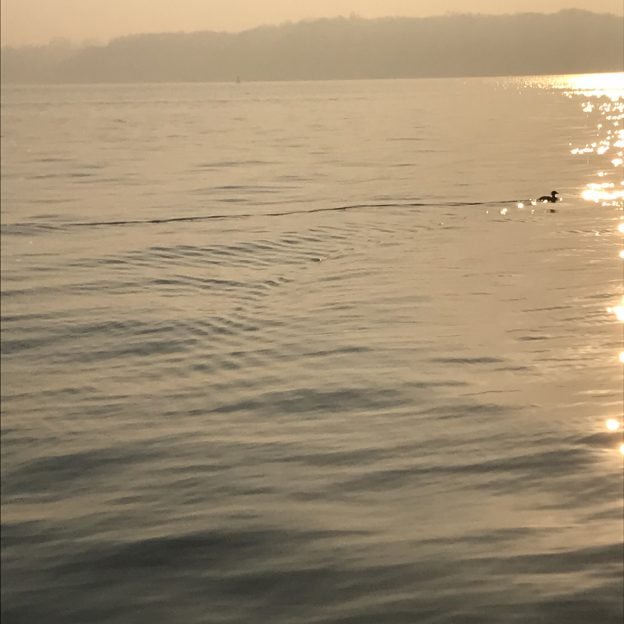 Towards the raising sun, leaving behind a perfect wake - Adventures in ...