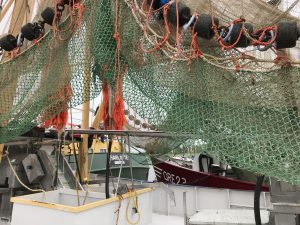 A "Siel" - the valve in a dyke that lets freshwater out but no salt ...