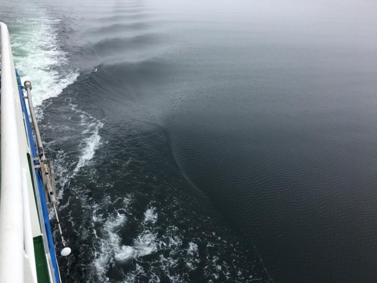 A #friendlywaves from a field trip in a Norwegian fjord - Adventures in ...