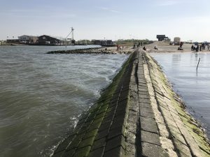 Influence of wind and water depth on a wave field (or: a beach vacation ...