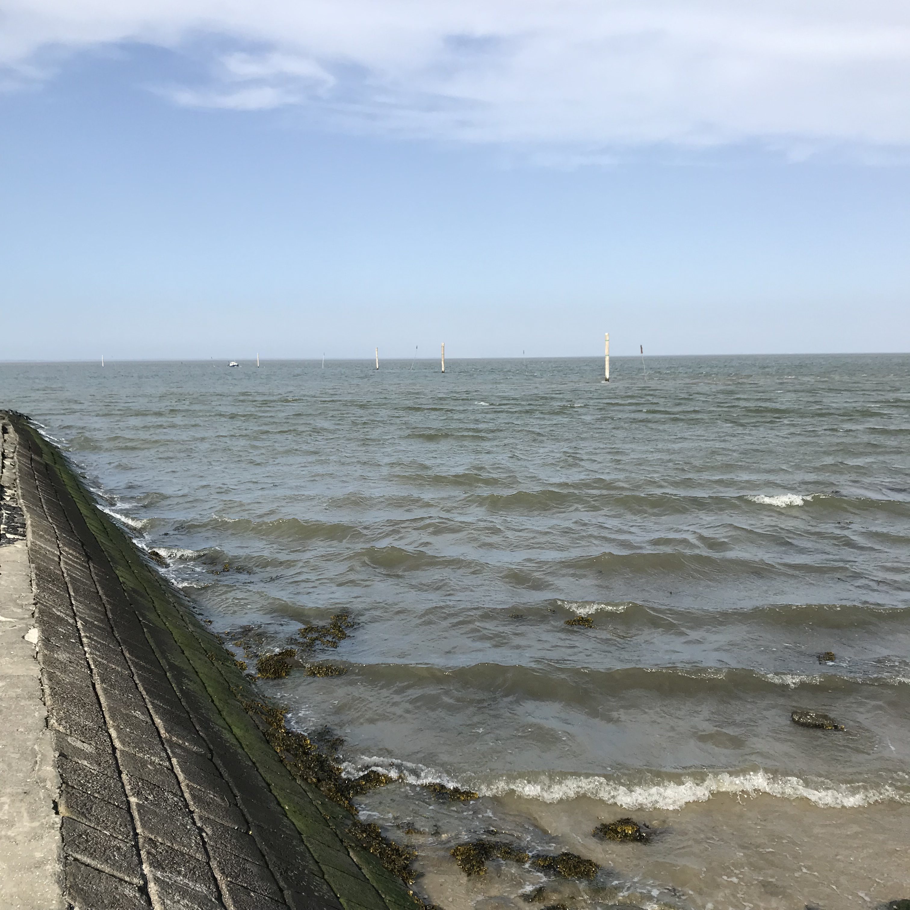 Influence of wind and water depth on a wave field (or: a beach vacation ...