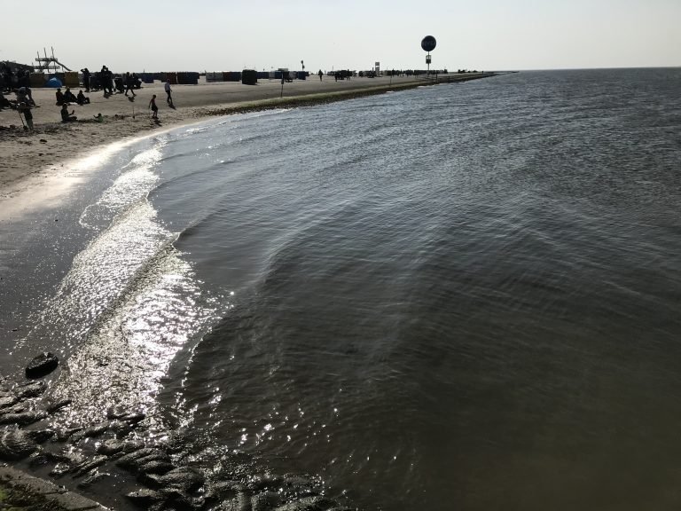 Influence of wind and water depth on a wave field (or: a beach vacation ...