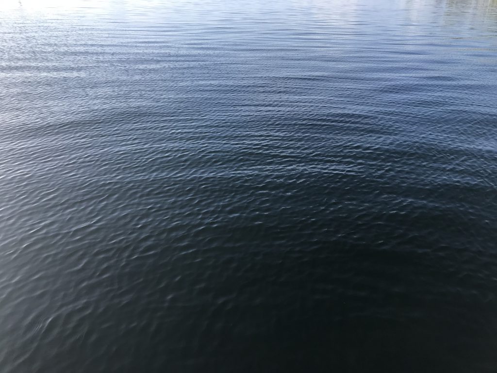 Saturday morning #wavewatching - Adventures in Oceanography and Teaching