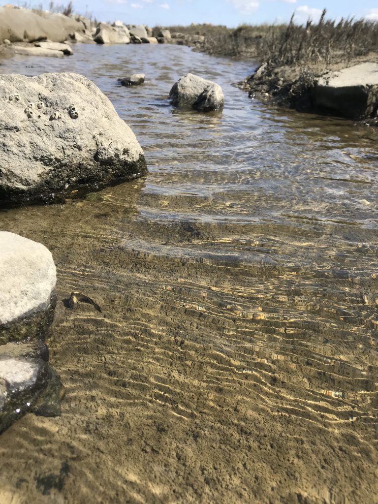 Wind-driven waves in natural flumes for #flumefriday - Adventures in ...