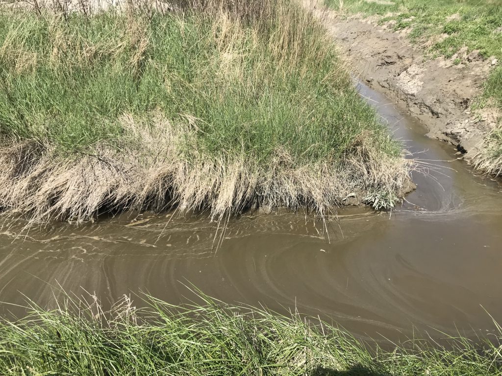 Dirty drainage ditch or a natural flume for fluid dynamics fun? You ...