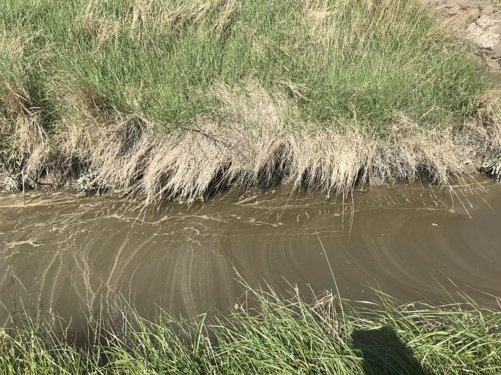 Dirty drainage ditch or a natural flume for fluid dynamics fun? You ...