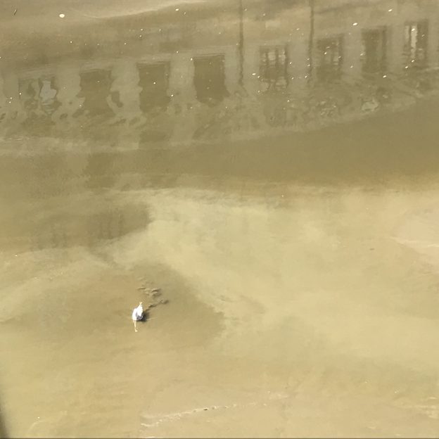 Muddy water watching on my lunch break. Turbulence and all the good ...