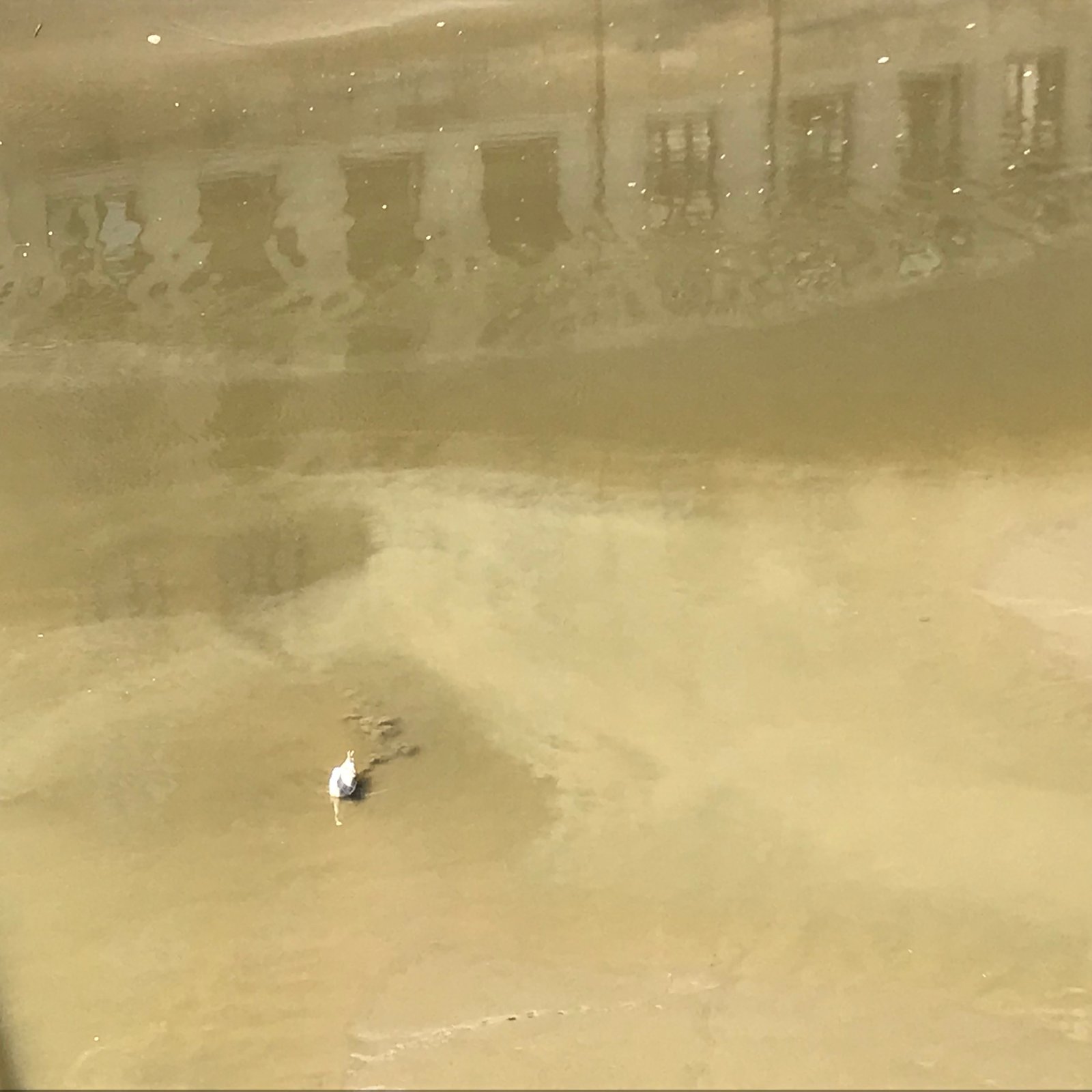 Muddy water watching on my lunch break. Turbulence and all the good ...