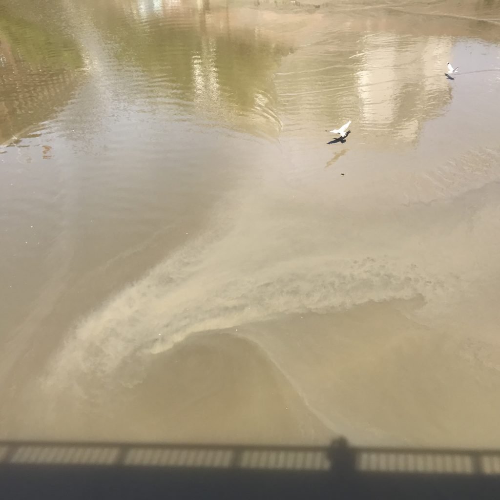 Muddy water watching on my lunch break. Turbulence and all the good ...
