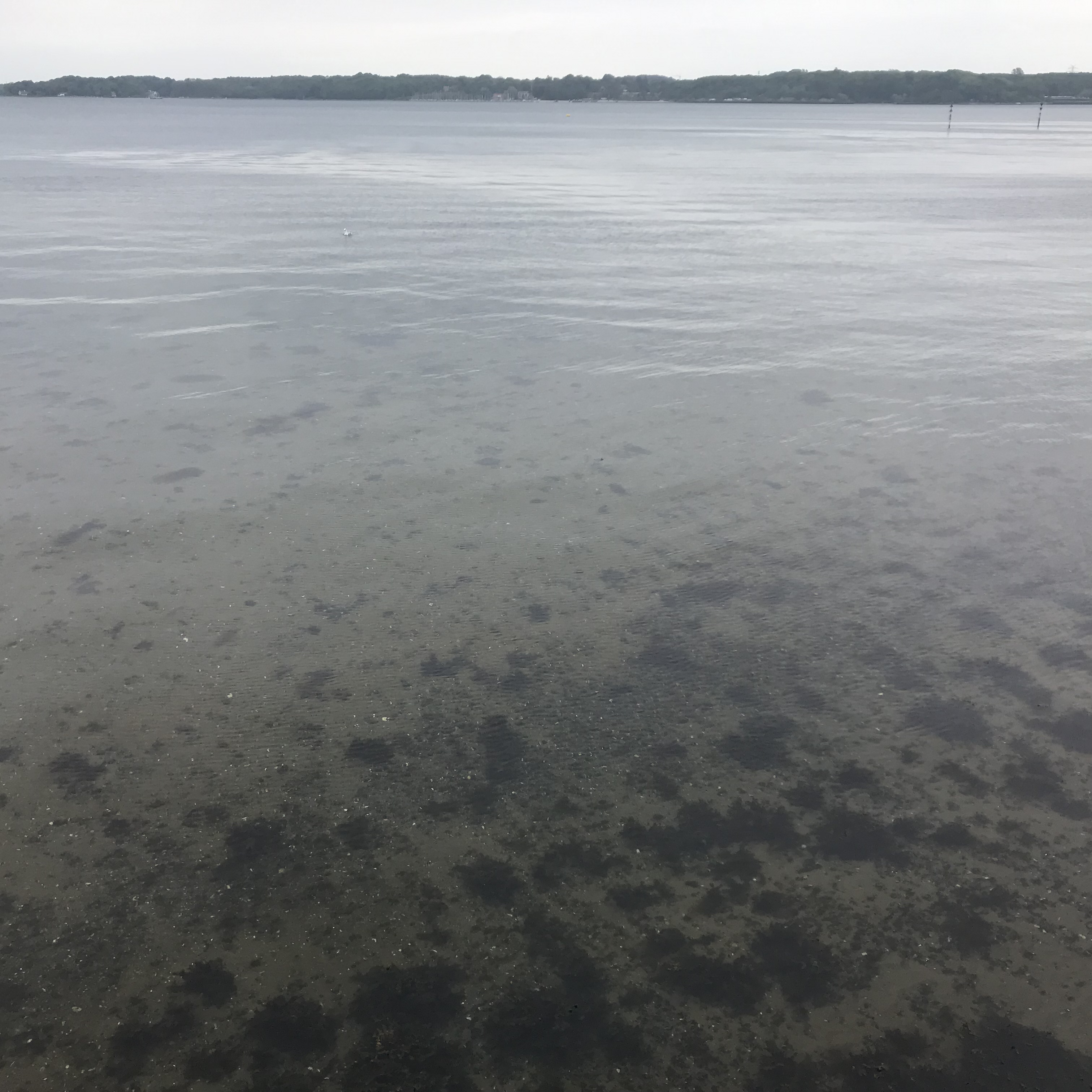 Sunday #wavewatching. Shallow water waves, deep water waves, # ...