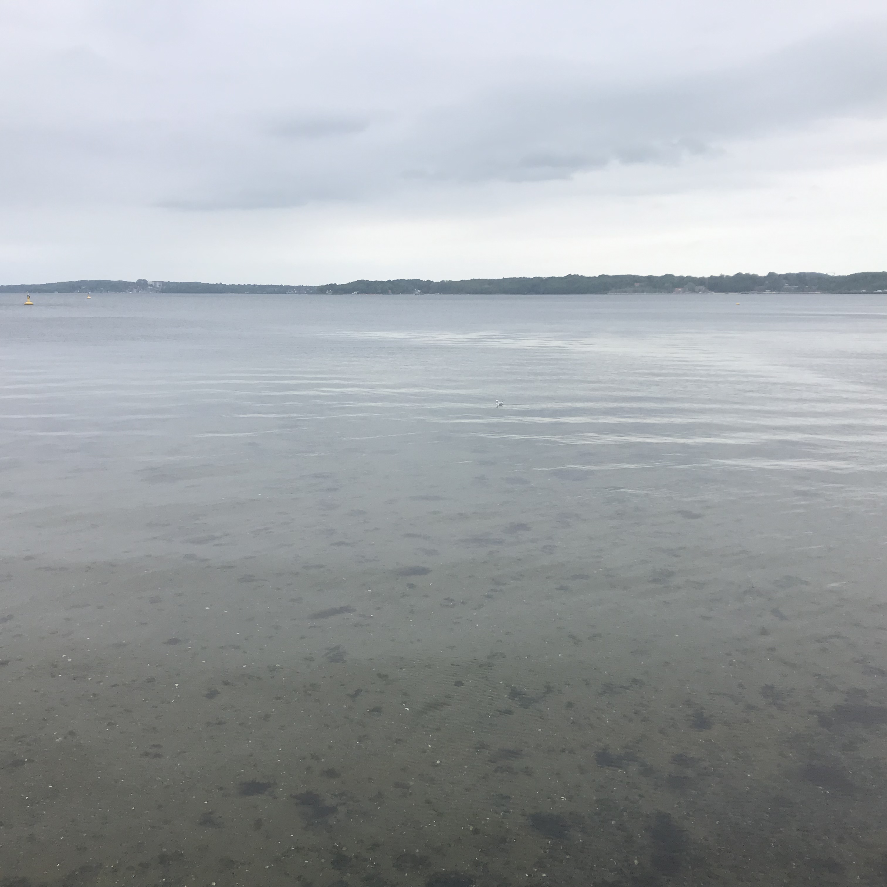 Sunday #wavewatching. Shallow water waves, deep water waves, # ...