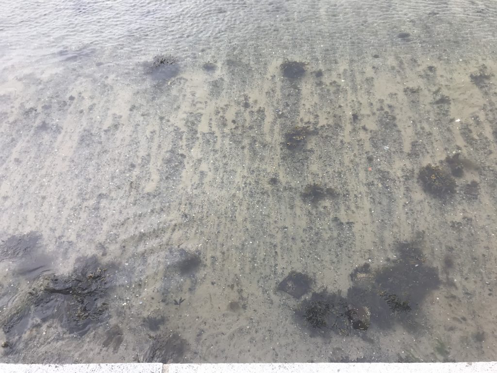 Sunday #wavewatching. Shallow water waves, deep water waves, # ...