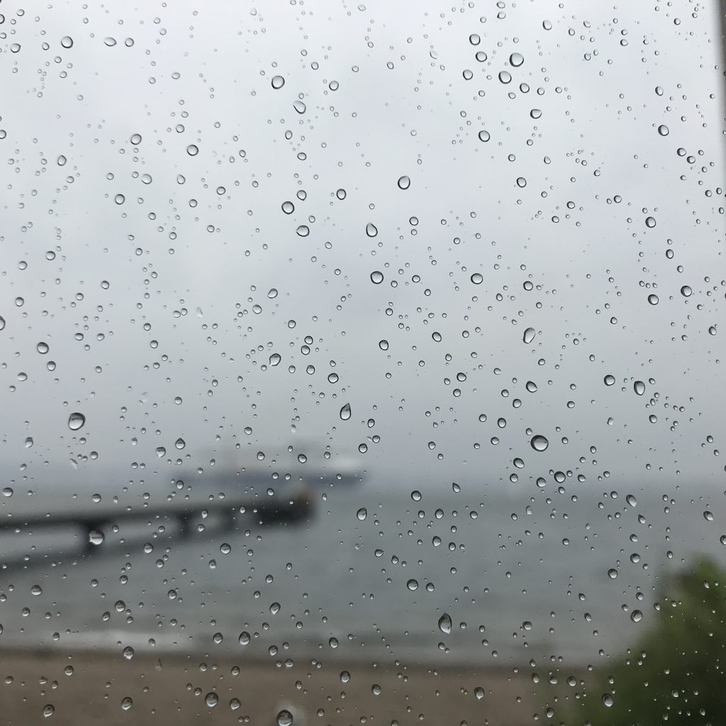 Rainy day wave watching on Kiel fjord: diffraction, wind effects, a ...