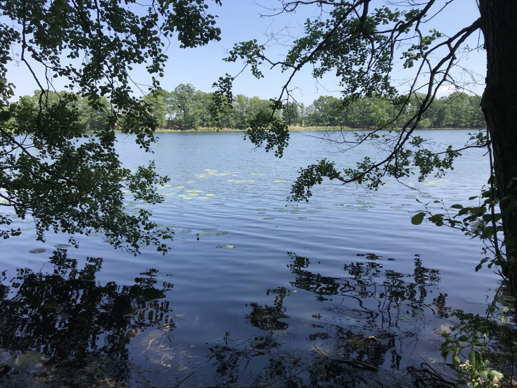 Wave watching in an end moraine lake in Brodowin - Adventures in ...