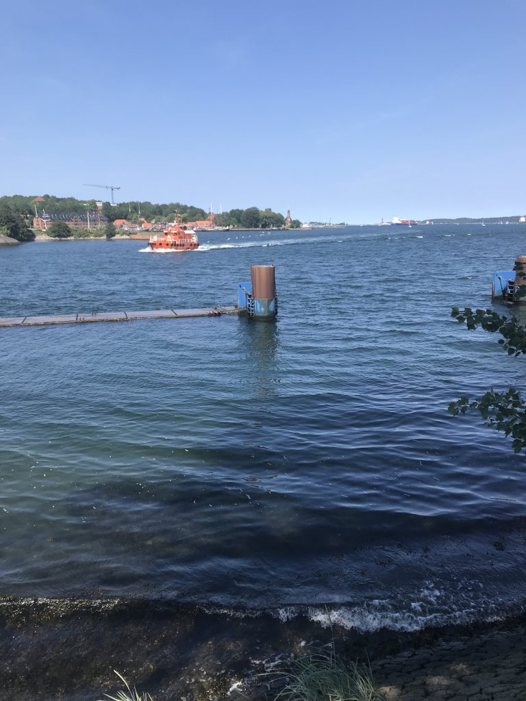 bow wave Archives - Adventures in Oceanography and Teaching