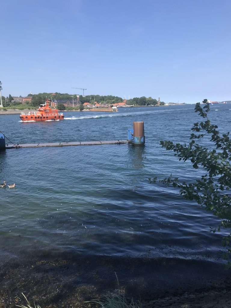 bow wave Archives - Adventures in Oceanography and Teaching