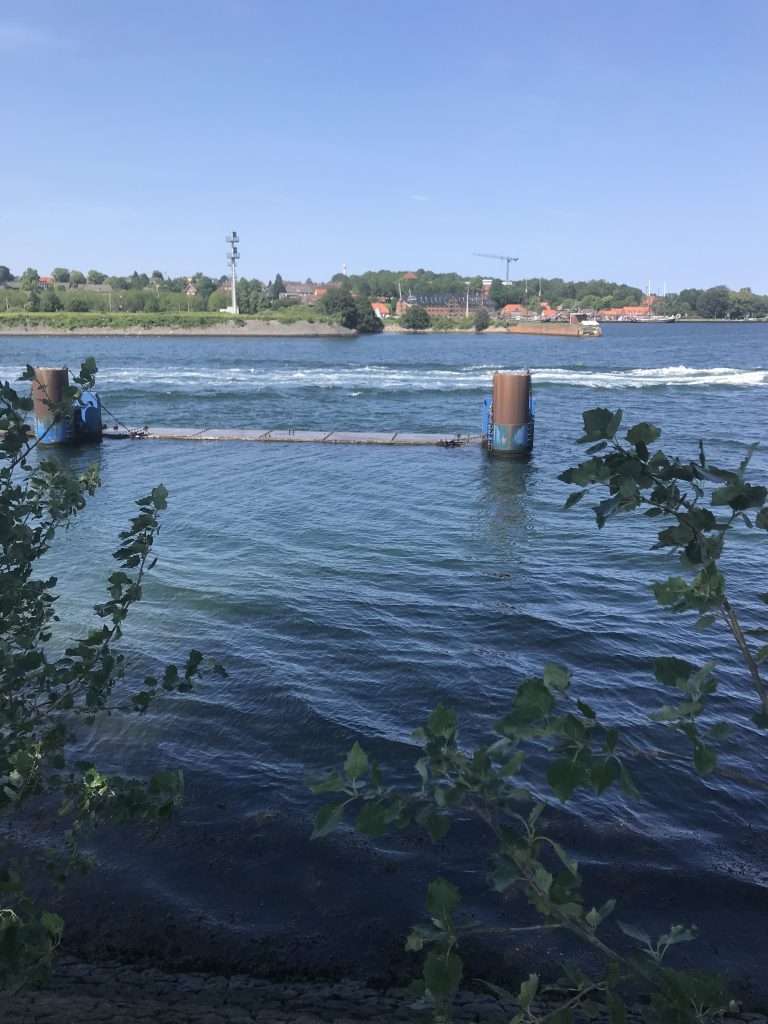 bow wave Archives - Adventures in Oceanography and Teaching