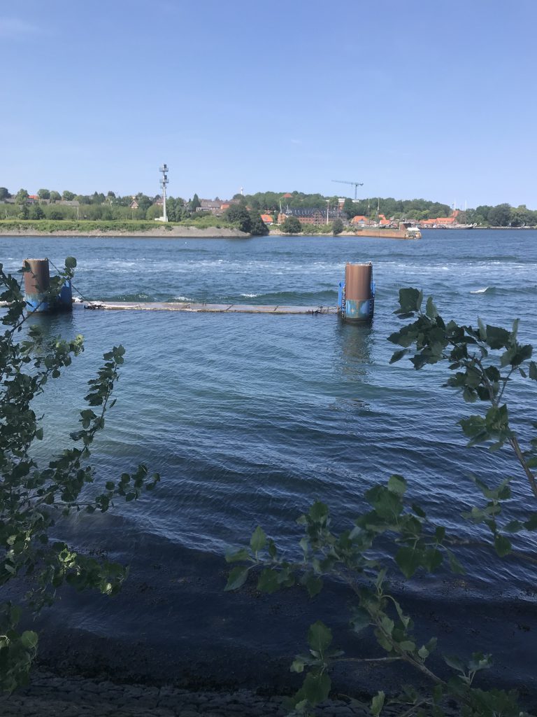 bow wave Archives - Adventures in Oceanography and Teaching