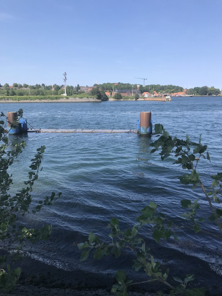 bow wave Archives - Adventures in Oceanography and Teaching