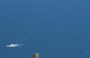 wake Archives - Adventures in Oceanography and Teaching