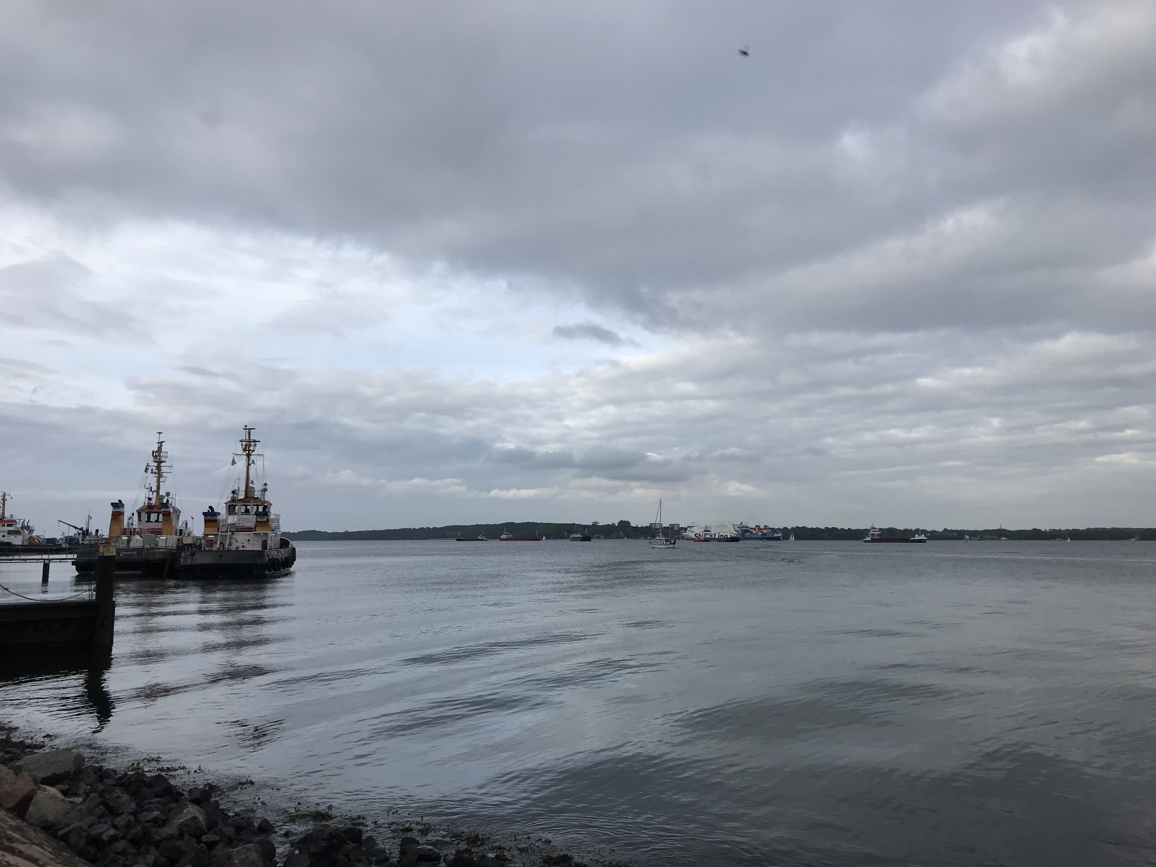 Feathery wake approaching! #WaveWatching in Kiel Holtenau - Adventures ...