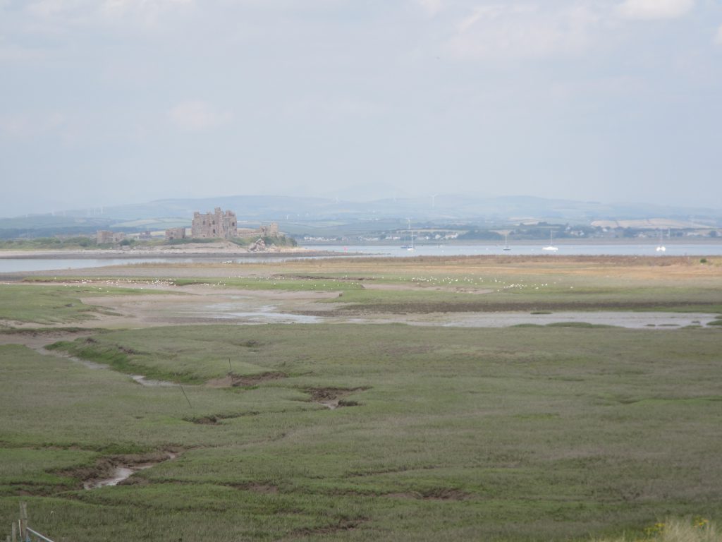 Enjoying the South Walney Island Nature Reserve - Adventures in ...
