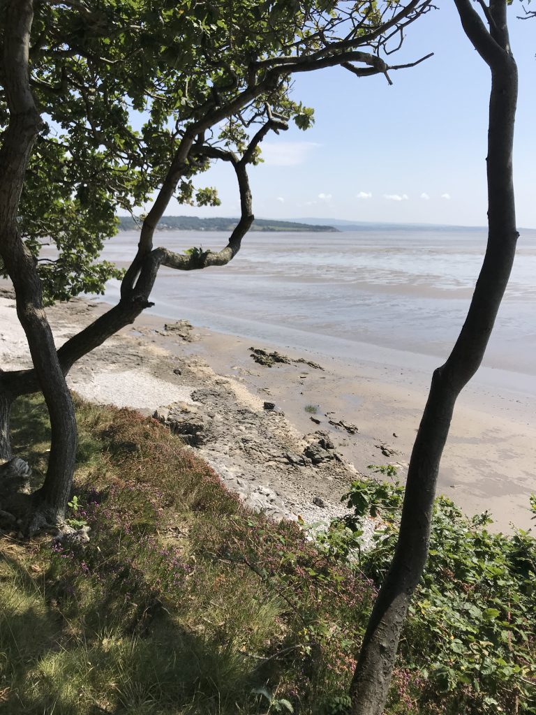 Arnside Archives - Adventures in Oceanography and Teaching