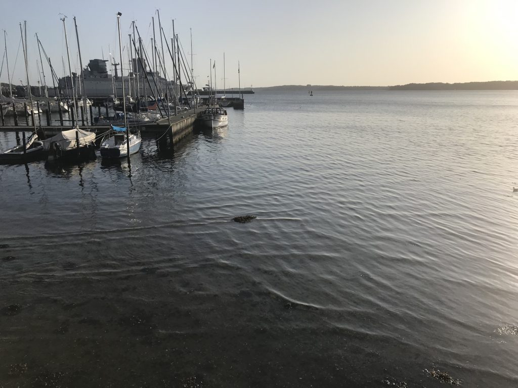 shallow water waves Archives - Adventures in Oceanography and Teaching