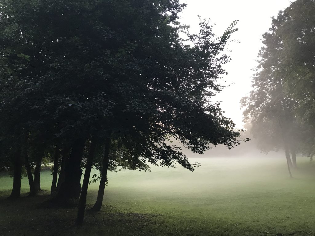 Fog showing stream lines around cruise liner - Adventures in ...