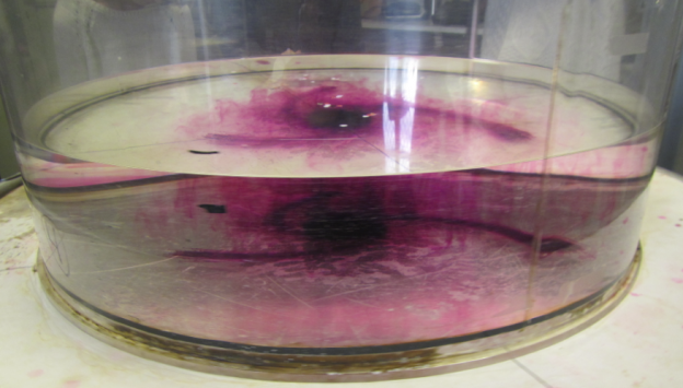 bottom Ekman layer Archives - Adventures in Oceanography and Teaching