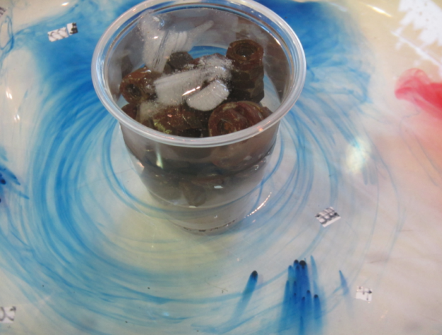 Combining a slowly rotating water tank with a temperature gradient: A ...