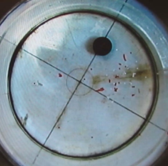 solid body rotation Archives - Adventures in Oceanography and Teaching