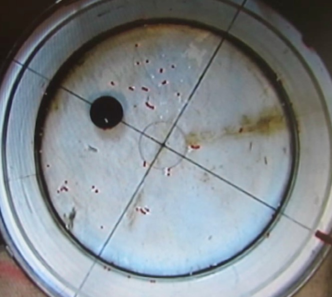 solid body rotation Archives - Adventures in Oceanography and Teaching