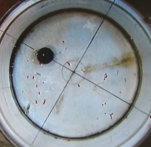 Taylor column - Adventures in Oceanography and Teaching