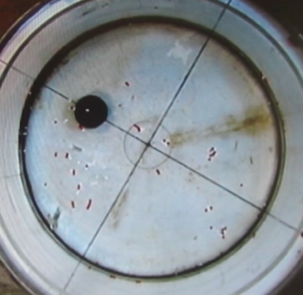 solid body rotation Archives - Adventures in Oceanography and Teaching