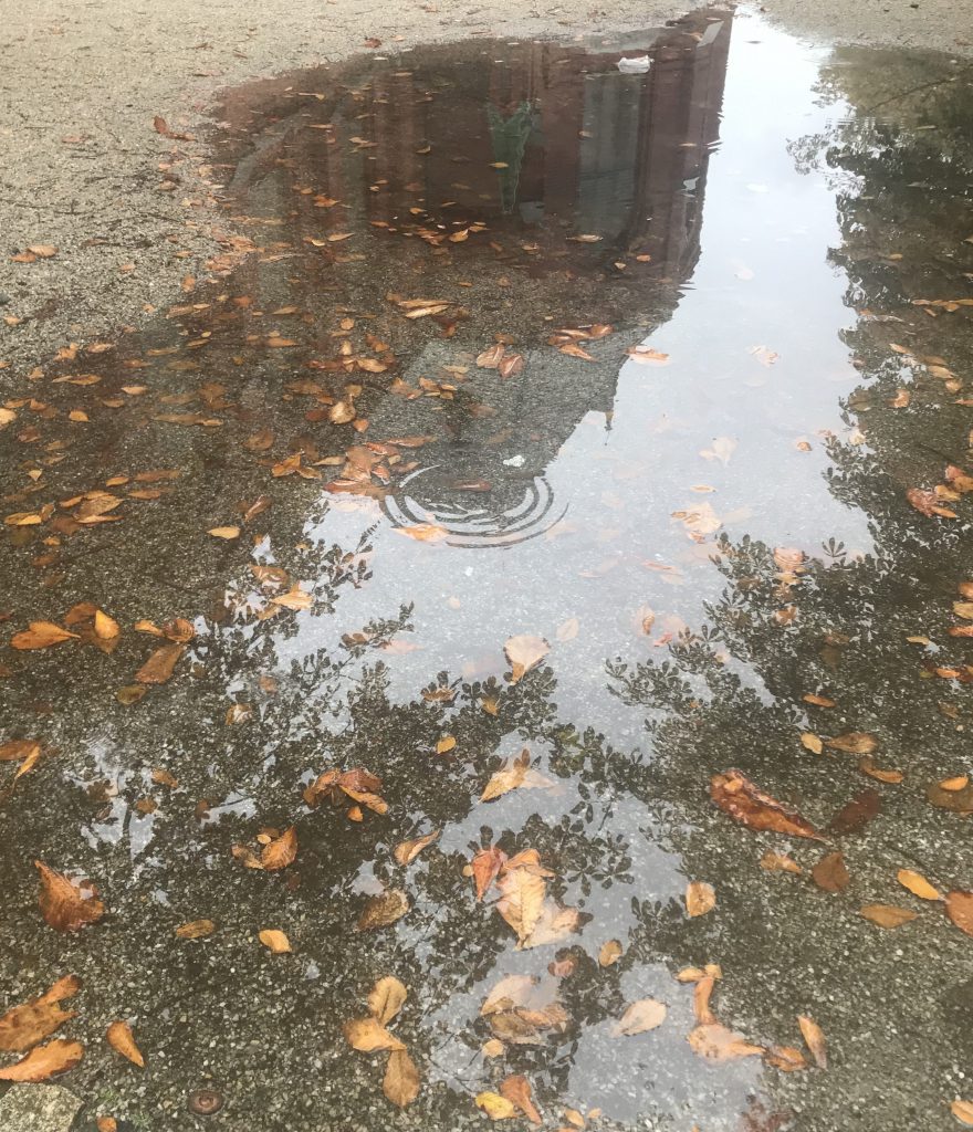 Fløyen in the clouds - Adventures in Oceanography and Teaching