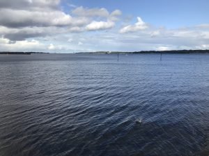 Strong gusts of wind -> lots of energy transferred to the water -> wind ...