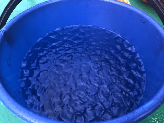 Wave watching in a bucket - Adventures in Oceanography and Teaching