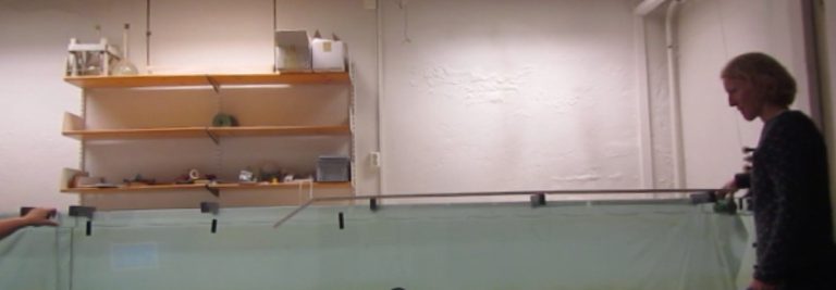 Phase and group velocities in deep and shallow water - Adventures in ...